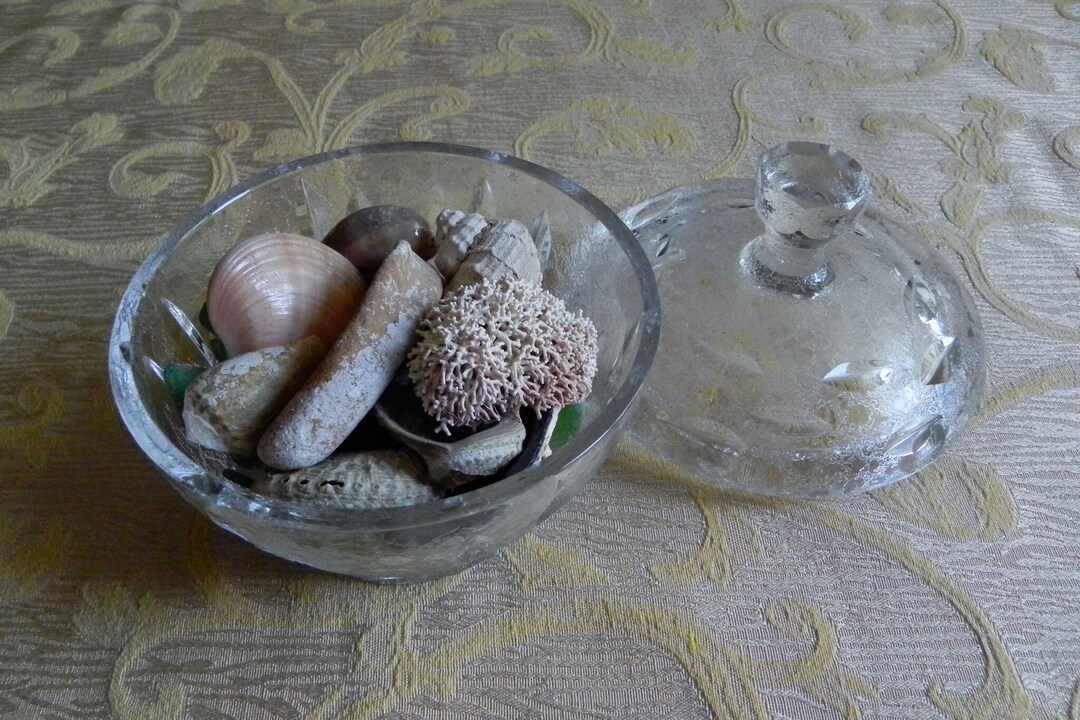 Crystal Box With Collection of Marine Artifacts 1960s - Etsy