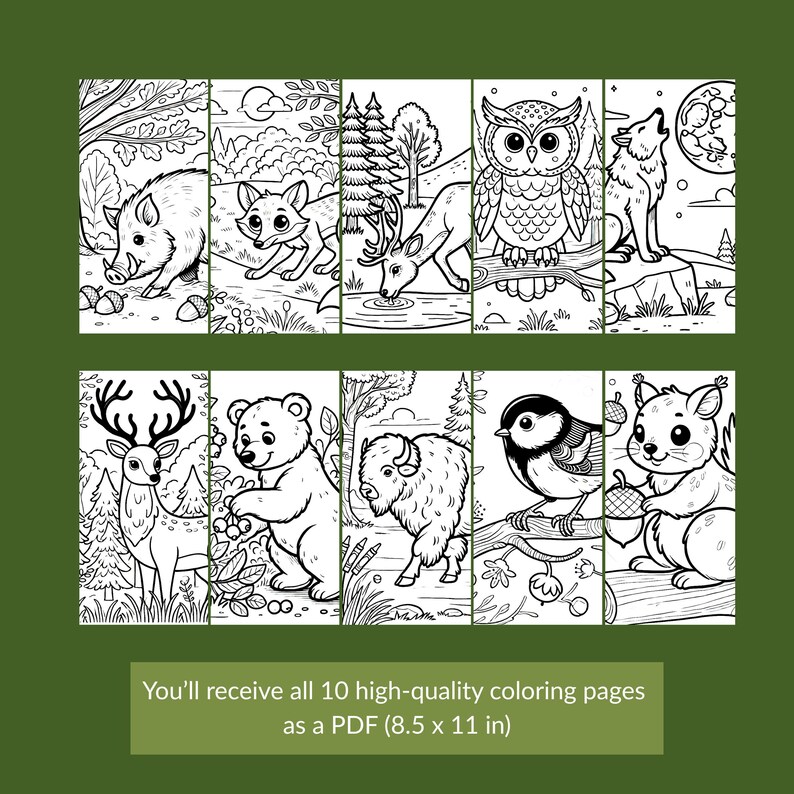 Forest Animals Coloring Pages for Kids – Woodland Wildlife Set (10 Cute ...