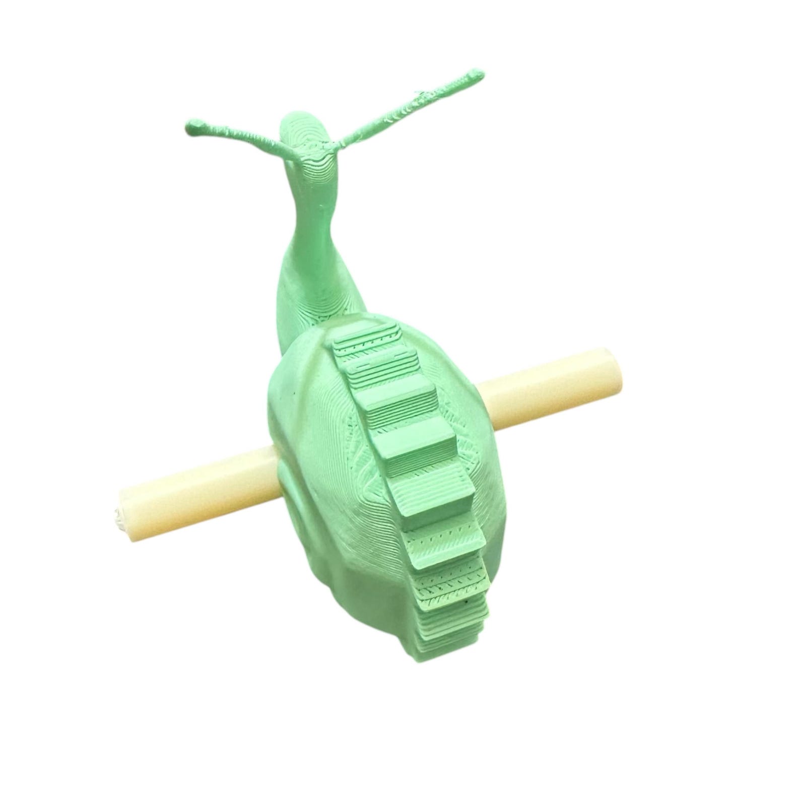 3D Printed Snail Guiro – Musical Animal Sound Toy | Handcrafted Eco ...