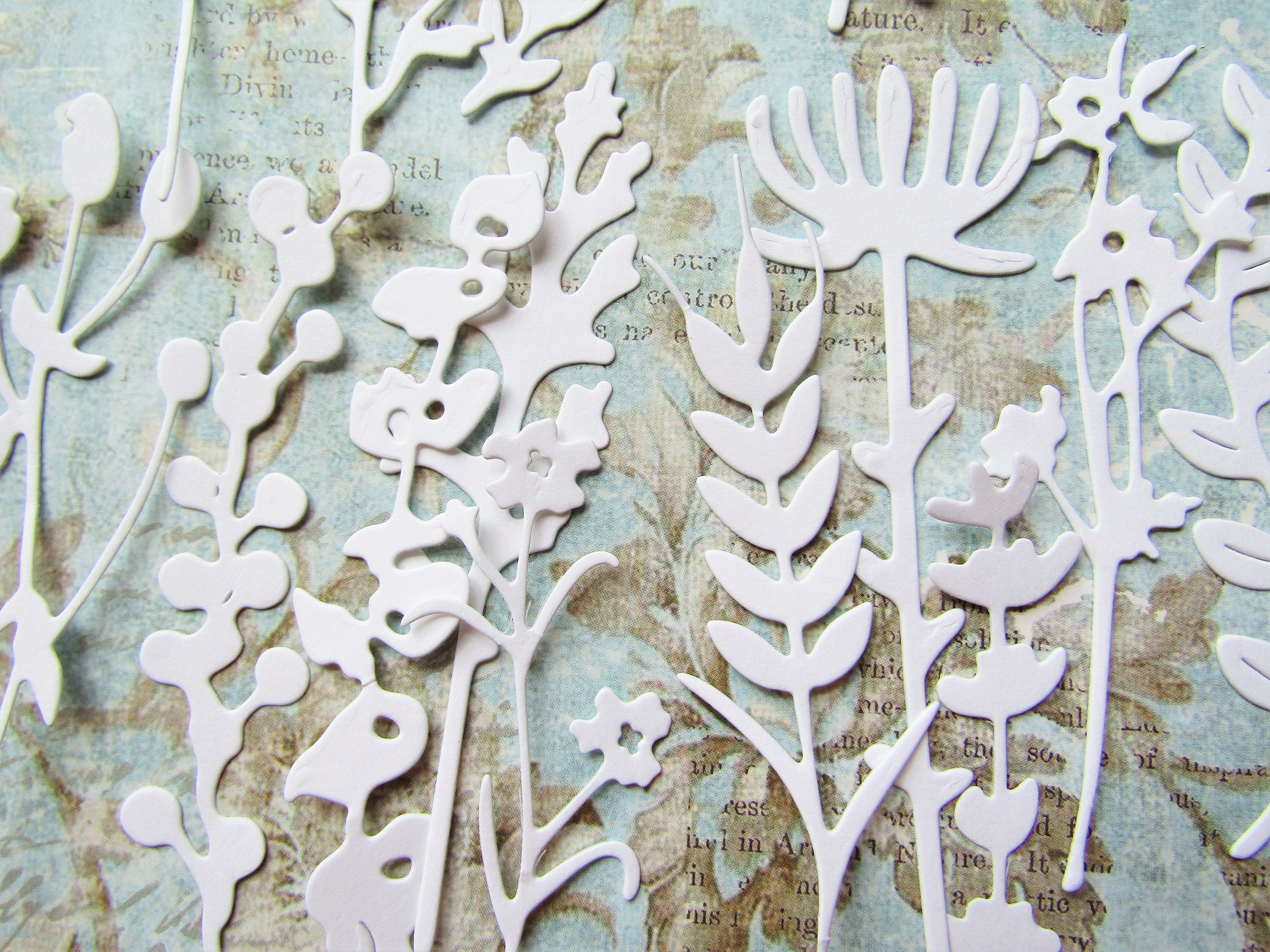 White Wildflower Paper Die Cuts, Craft Supplies, Cardmaking ...