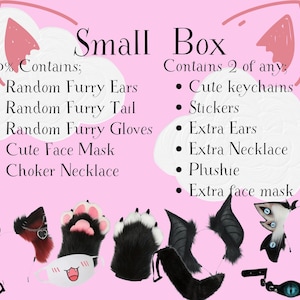 Furry Cosplay Box - Etsy