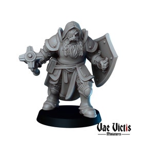 Dwarf Cleric With Eye Patch From Vae Victis 3D Model - Etsy