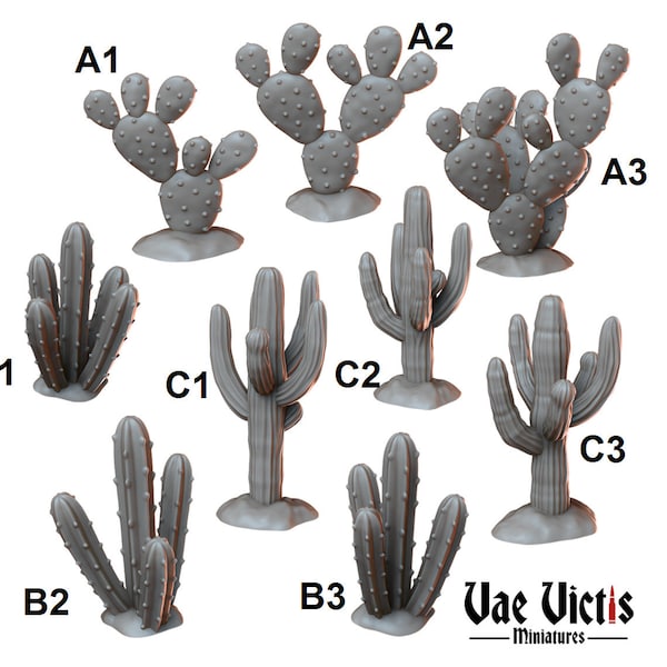 Miniature Cactus - Etsy