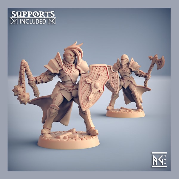 Female Paladin Model - Etsy