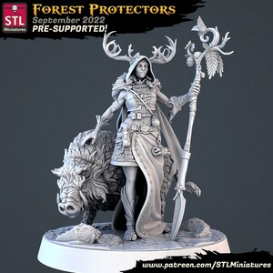 Protectors of the Forest | Elf Gnome Firbold Druid Miniature for Dnd ...