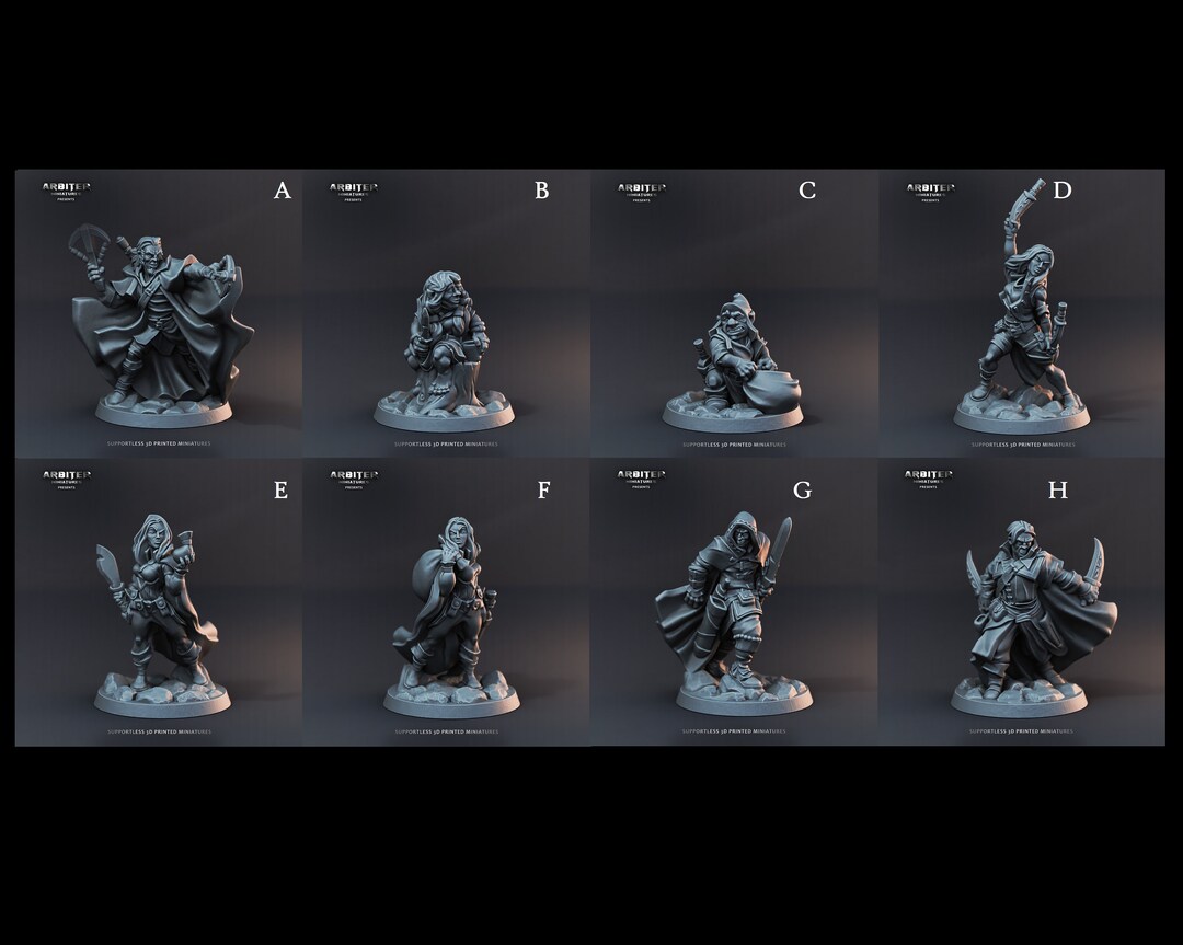 Dnd Rogue Miniature Male and Female | Thief and Assassin for Tabletop ...