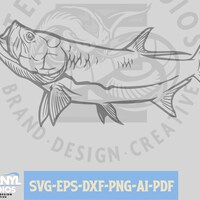 Mahi Mahi Skin Pattern Svg Png Eps Pdf | Saltwater Game Fish Fishing ...