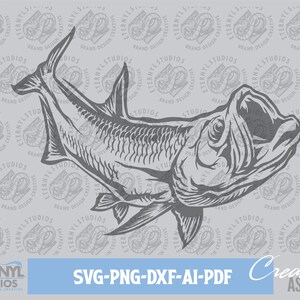Tarpon SVG PNG, Tarpon SVG, Instant Download, Silver King, Tarpon ...