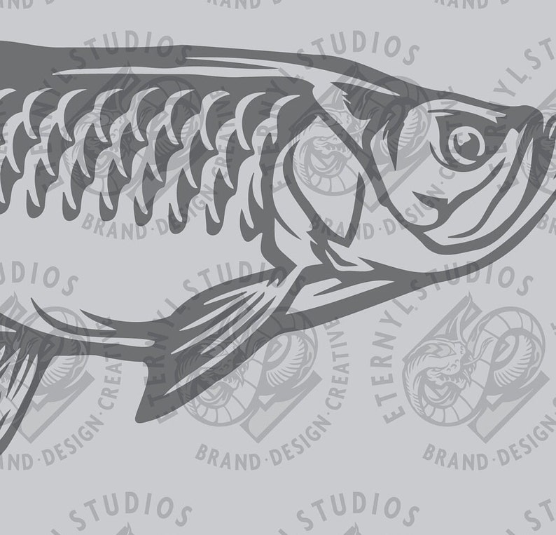 Tarpon Fish SVG: Atlantic Silver King Cut File (digital Download) - Etsy