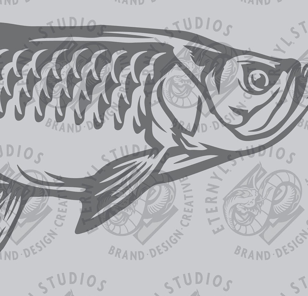 Tarpon SVG PNG Tarpon SVG Instant Download Silver King - Etsy Canada