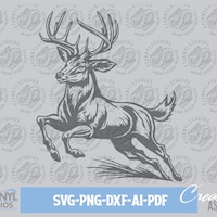 Whitetail Buck Deer Vector Drawing Jpg Svg Png Pdf - Etsy UK