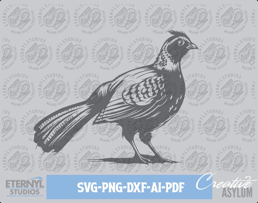 Pheasant SVG PNG, Instant Digital Download, Game Bird, Hunting ...