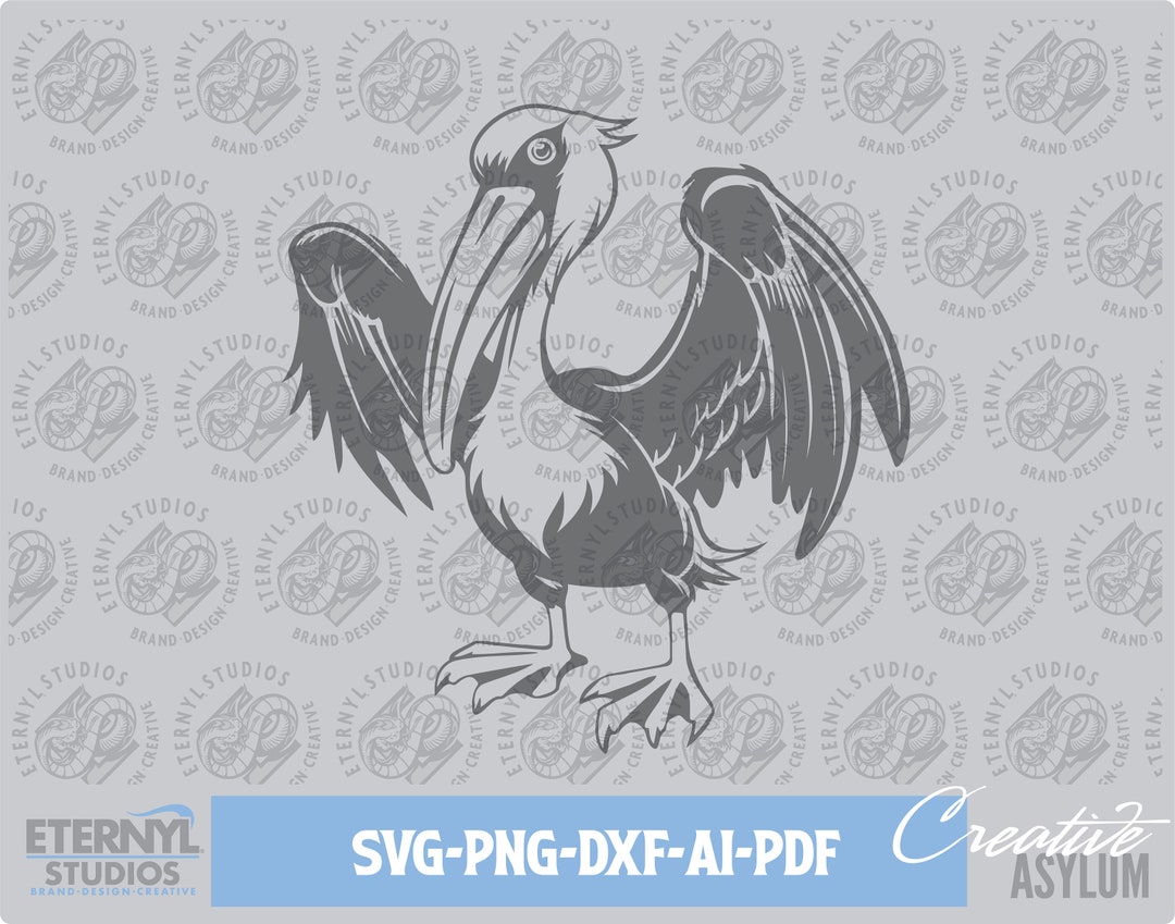 Pelican SVG PNG, Beach, Ocean, Gulf, Pelican Mascot, Pelican Logo ...