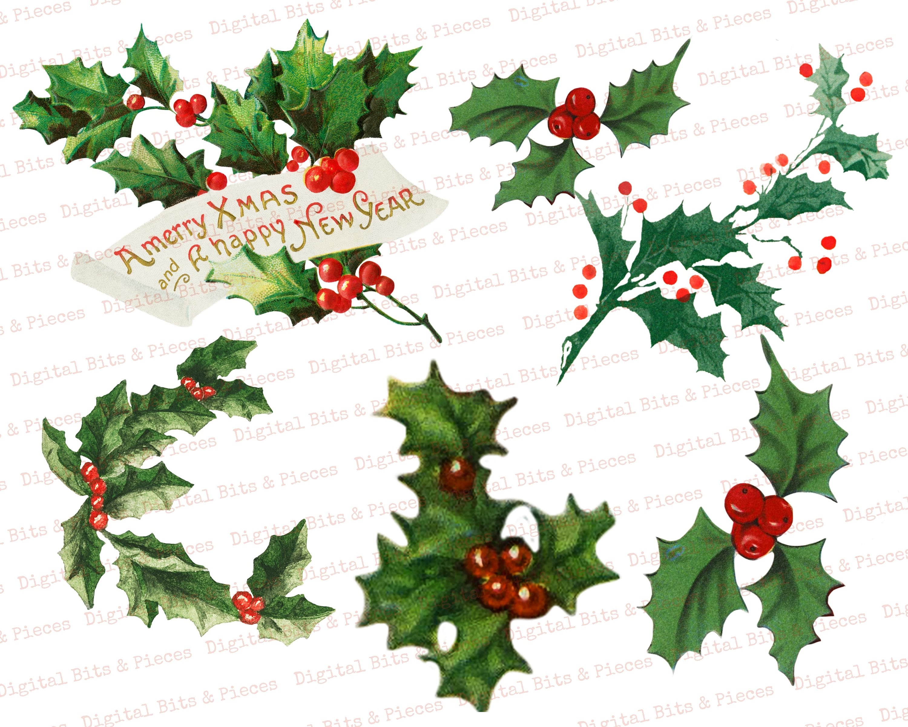 Vintage Holly Leaves Clip Art Bundle Retro Christmas Junk - Etsy