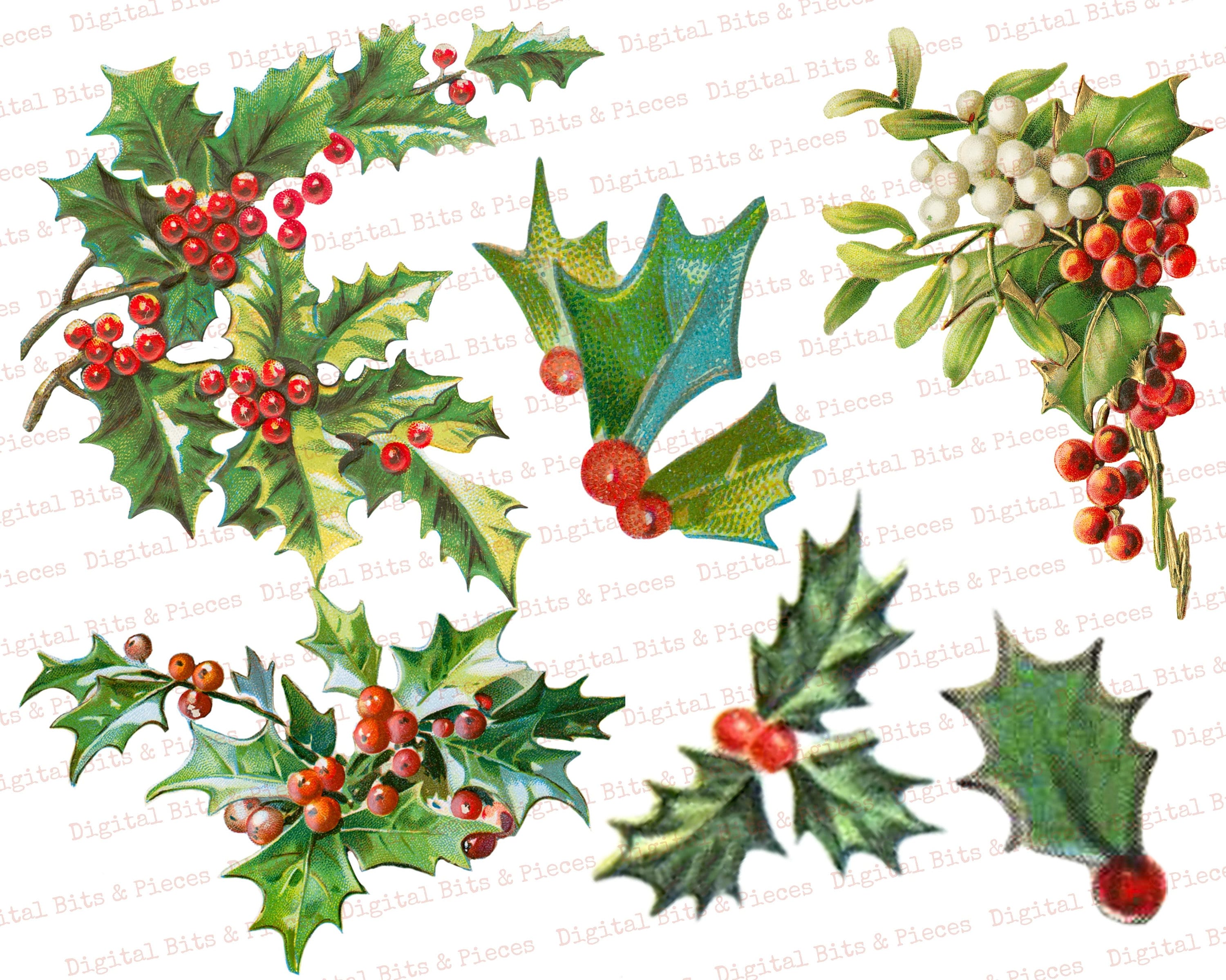 Vintage Christmas Holly Clipart