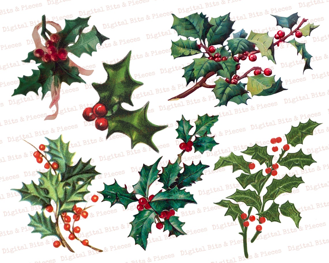Vintage Holly Leaves Clip Art Bundle Retro Christmas Junk - Etsy