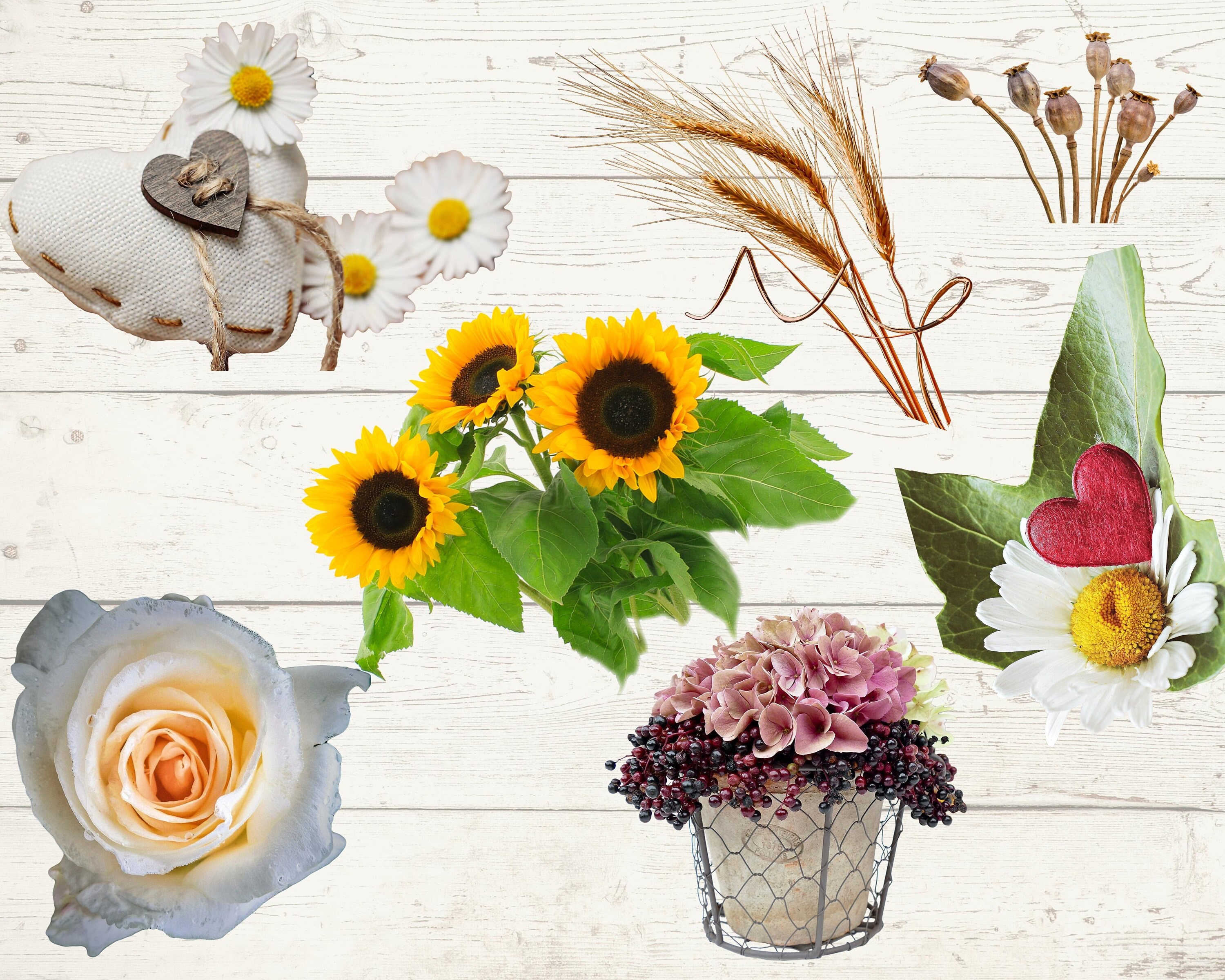 Fall Clip Art Autumn PNG Fussy Cut Leaves Thanksgiving - Etsy