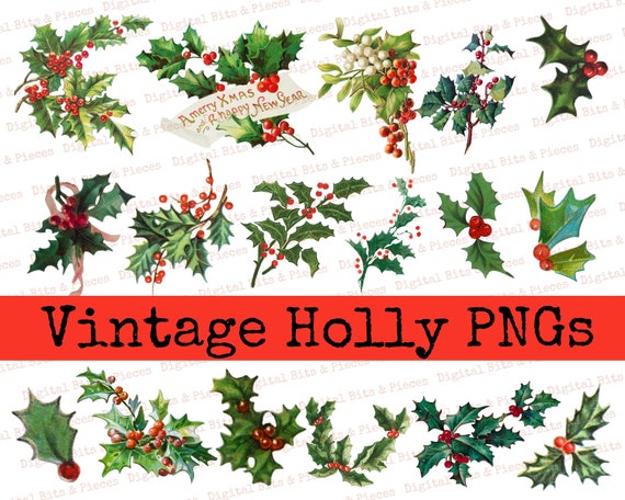 Vintage Christmas Holly Clipart