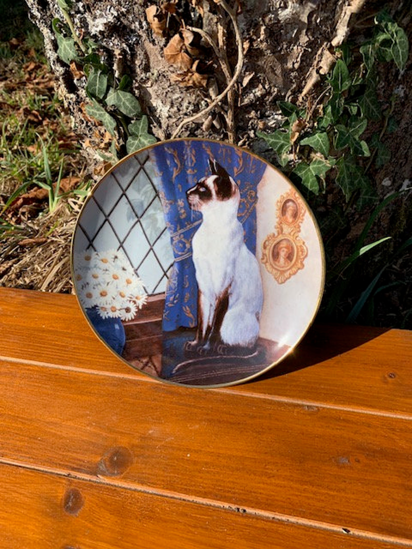 Collectable Siamese Cat Plate ' Statuesque', by Daphne Baxter. Limited ...