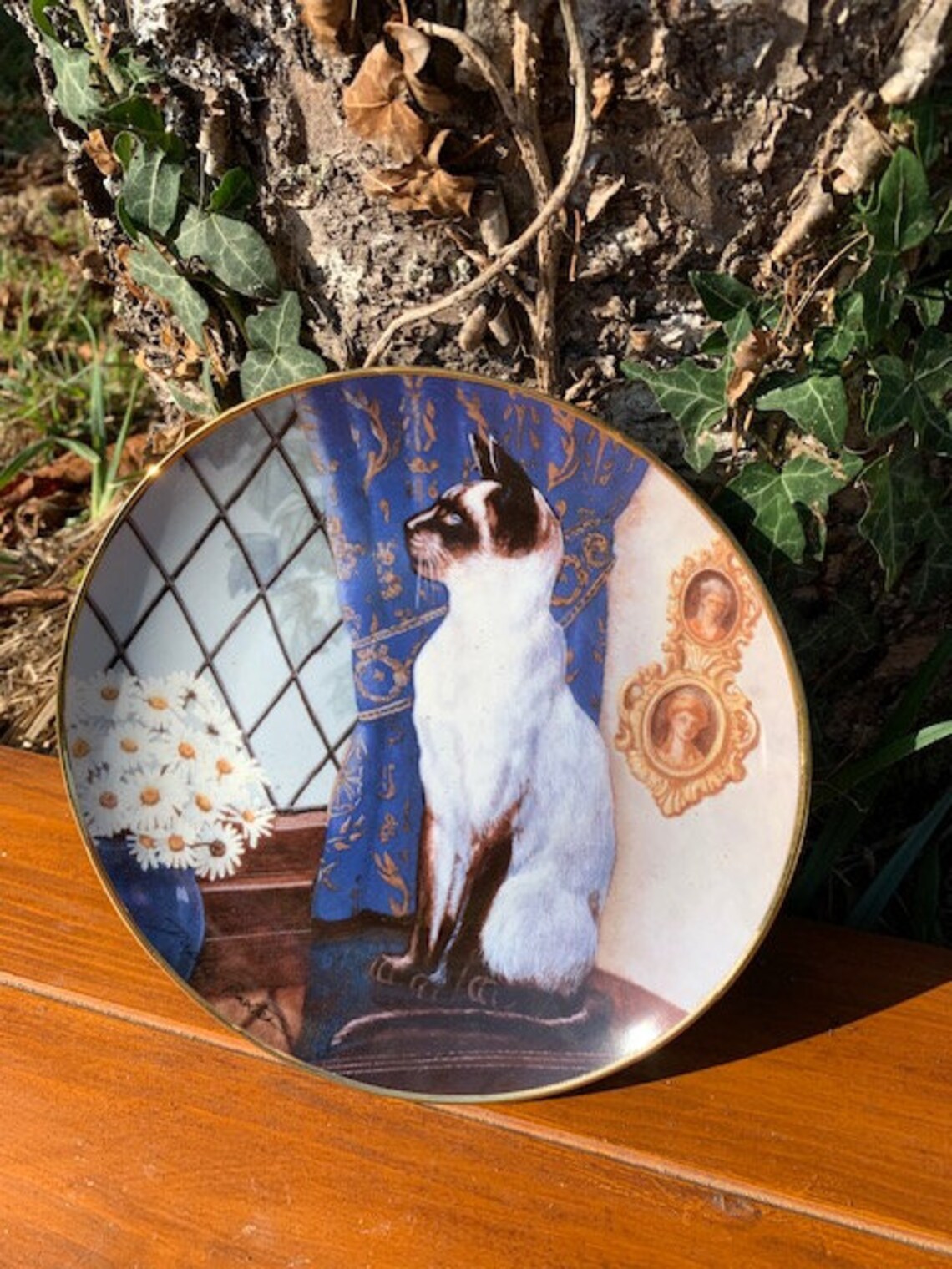 Collectable Siamese Cat Plate ' Statuesque', by Daphne Baxter. Limited ...
