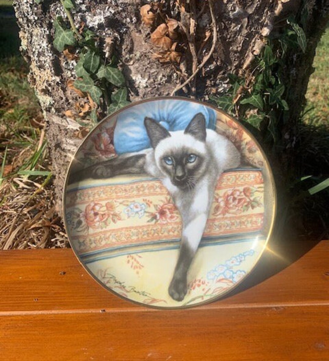Collectable Siamese Cat Plate ' Blue Eyes', by Daphne Baxter. Limited ...
