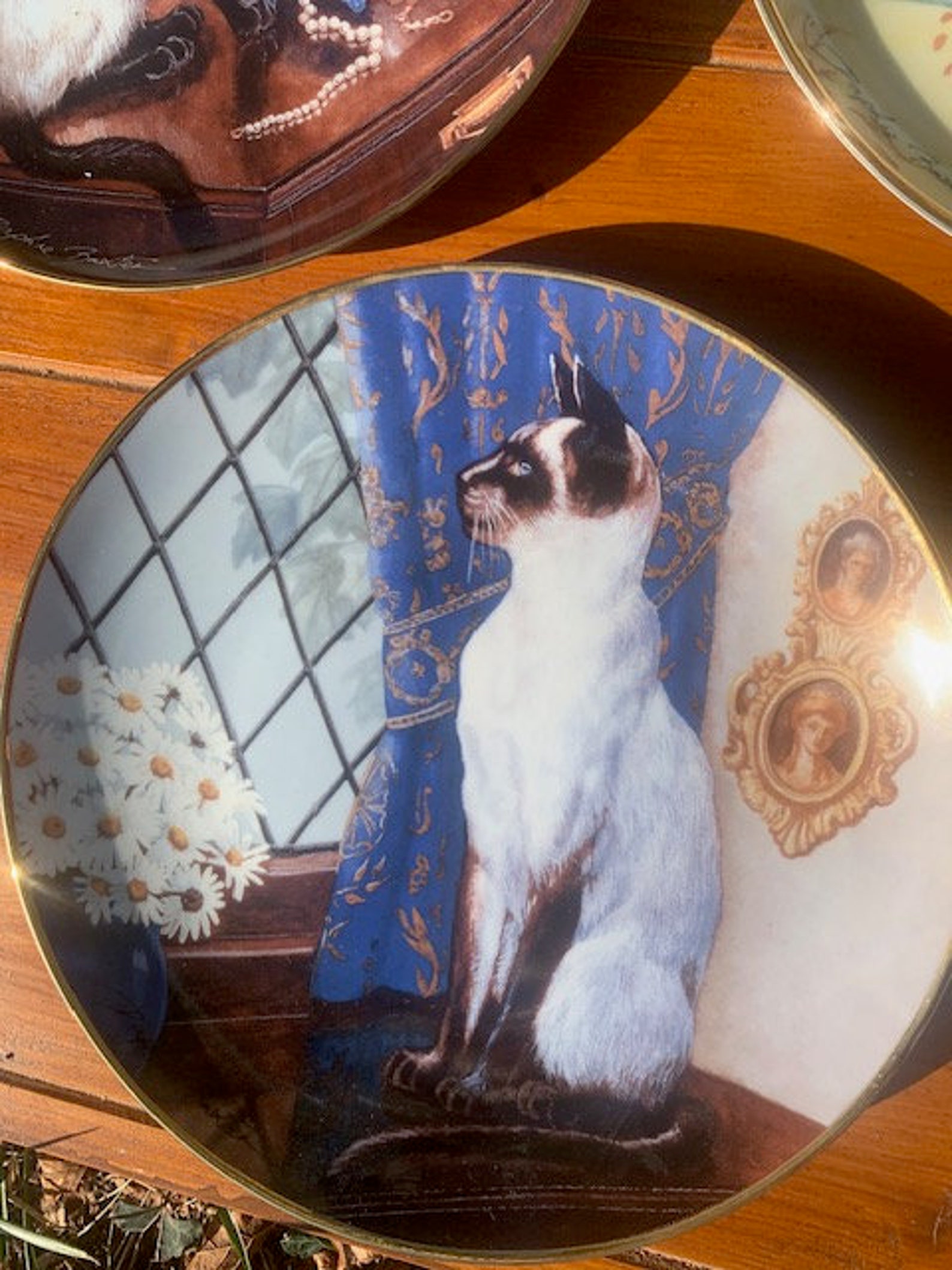 Collectable Siamese Cat Plate ' Statuesque', by Daphne Baxter. Limited ...