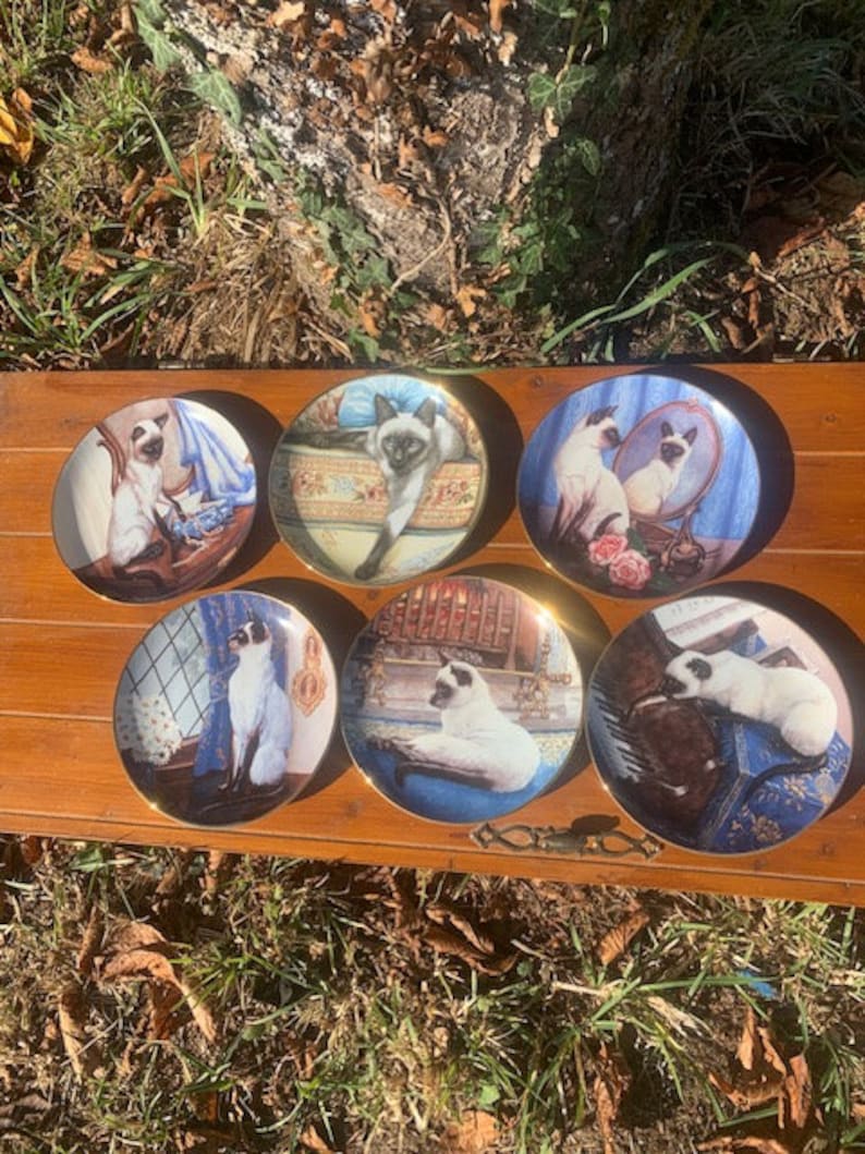 Collectable Siamese Cat Plate ' Statuesque', by Daphne Baxter. Limited ...