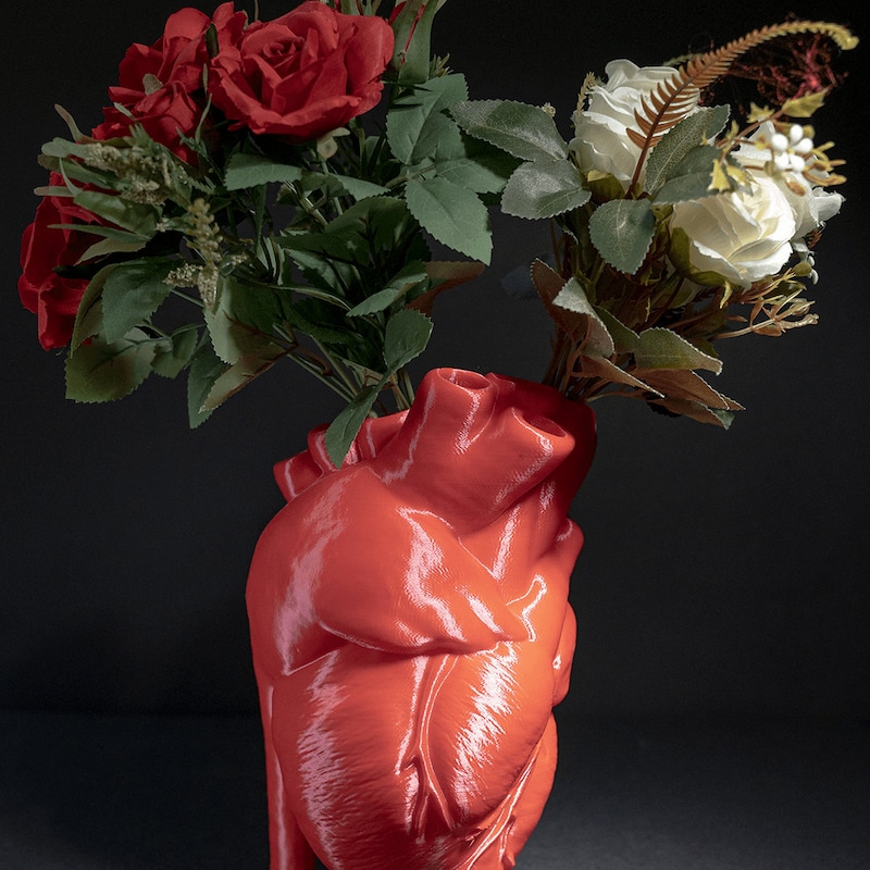 Anatomical Heart Vase - Etsy