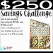 250 Dollar Savings Challenge Printable Envelopes - Etsy