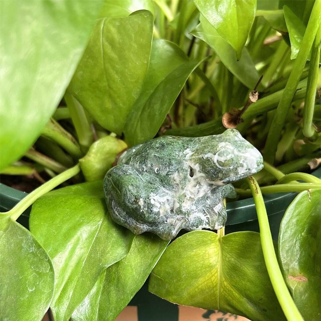 Hand Natural Moss Agate Frog Carvedquartz Crystal Skullhome - Etsy