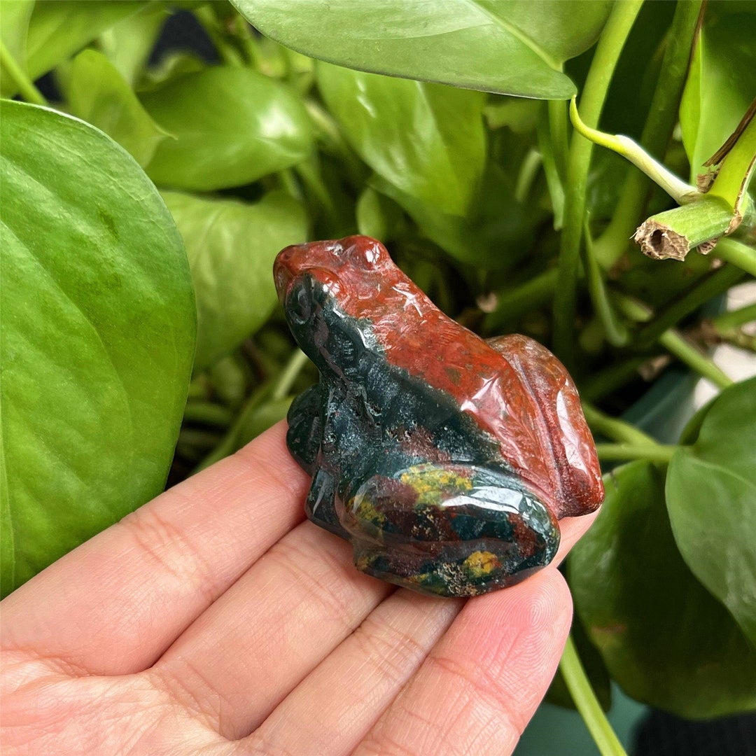 Hand Natural Ocean Jasper Frog Carved,quartz Crystal Skull,home ...