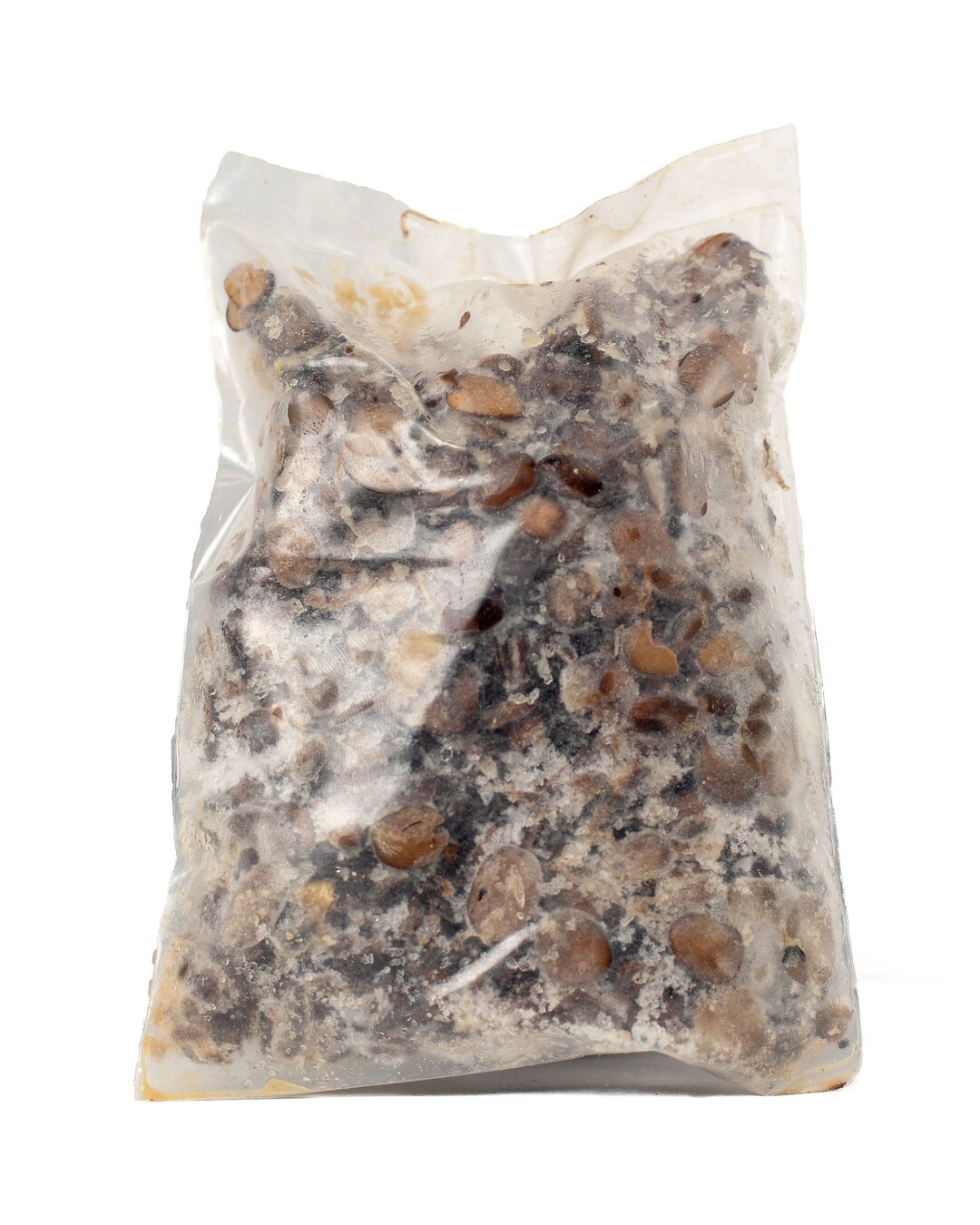 Fresh Frozen Iru locust Beans, 5 Oz - Etsy