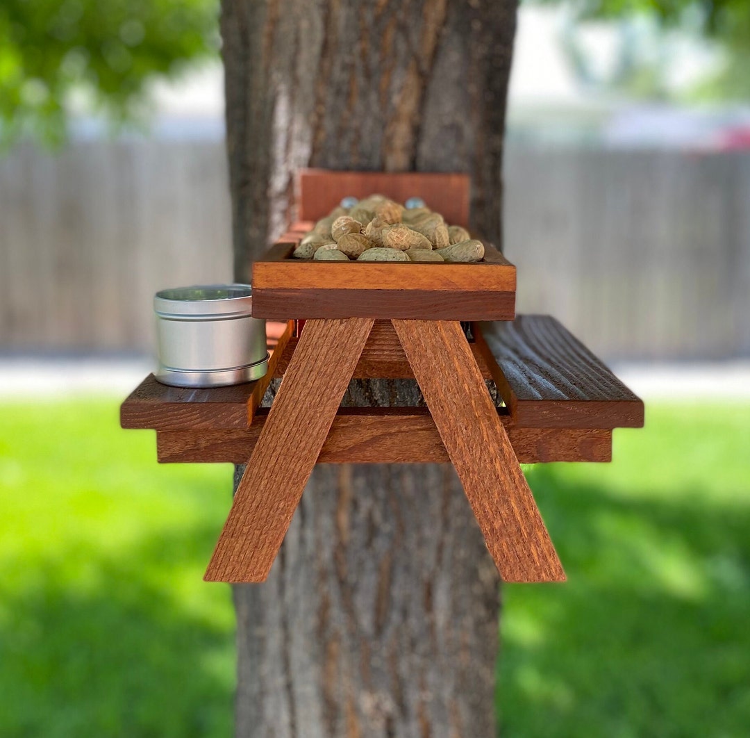 Stained Squirrel Picnic Table Feeder (nut Guard + Water Dish) - Feeder ...