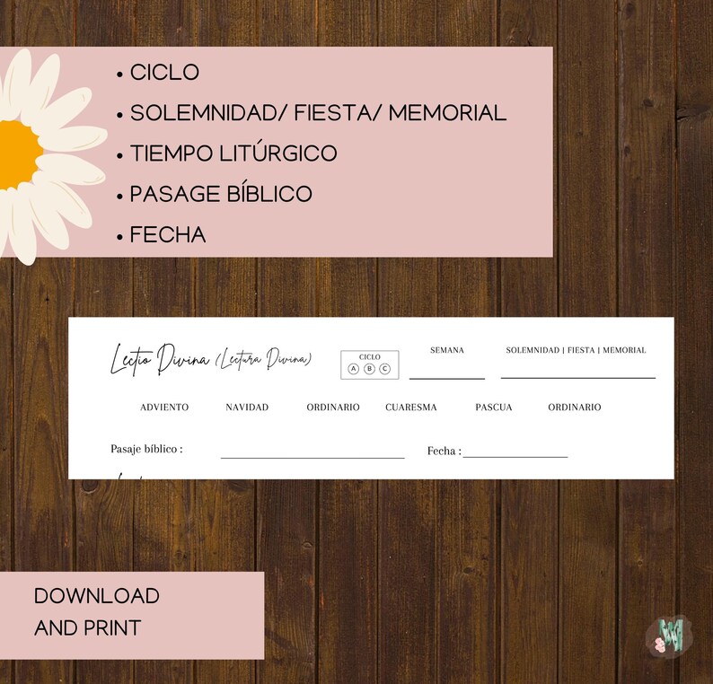 Spanish Lectio Divina Guide: Catholic Prayer Resource (PDF Downloadable ...