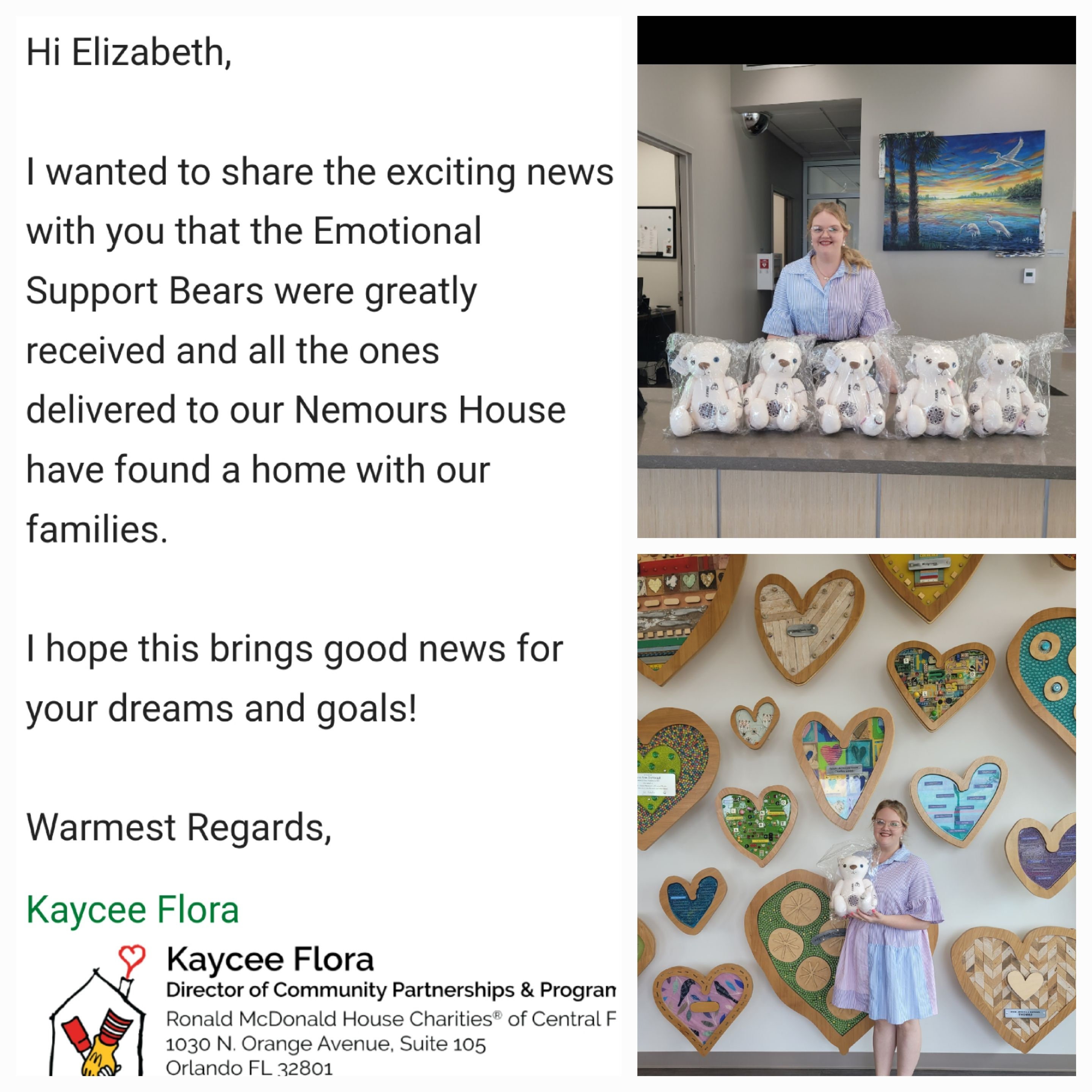 Emotional Support Bear - Etsy