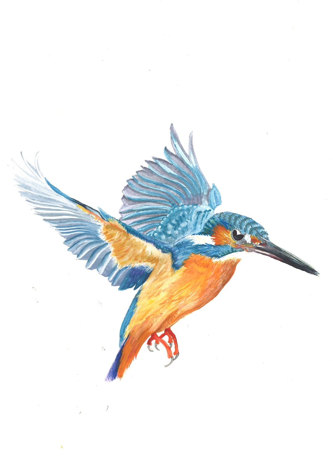 Kingfisher Watercolour - DIGITAL DOWNLOAD - Etsy