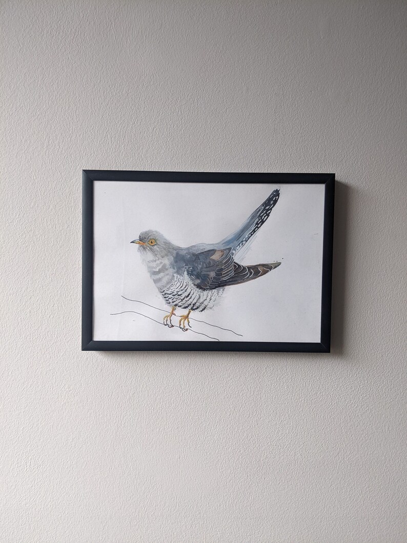 Nightjar Watercolour A5 Original Painting - Etsy