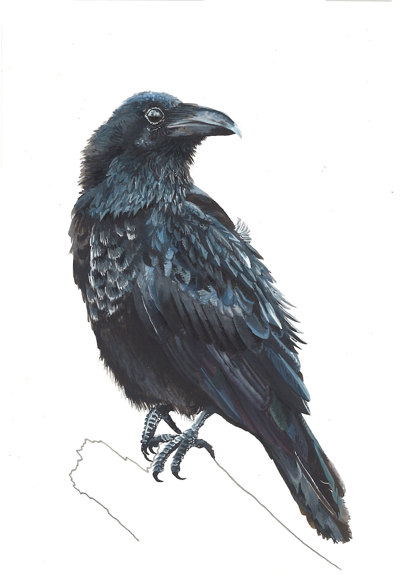 Raven Watercolour A5 - Original - Etsy