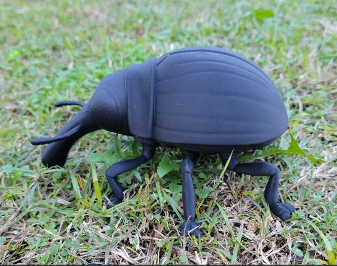 Grounded Weevil: 3D Printed Replica Miniature Bug Figurine - Etsy