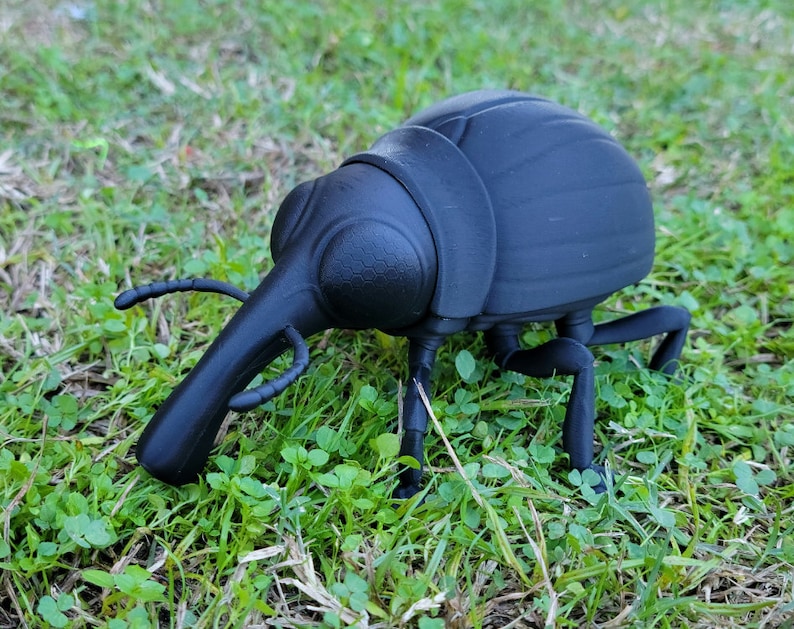Grounded Weevil: 3D Printed Replica Miniature Bug Figurine - Etsy