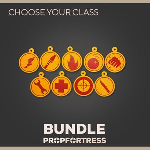 Team Fortress 2/TF2 Class Token Keychains - Etsy Australia