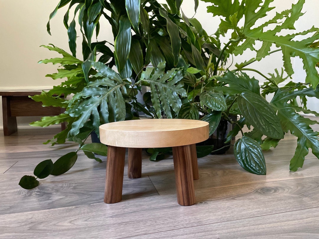 Solid Maple and Walnut Plant Stool. Medium - Large Sizes Available ...