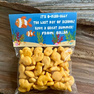 Summer Gift, Goldfish Treat Bag, End of School Gift, Classroom Favors ...