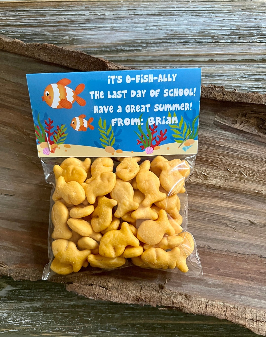 Summer Gift, Goldfish Treat Bag, End of School Gift, Classroom Favors ...