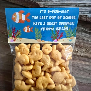 Summer Gift, Goldfish Treat Bag, End of School Gift, Classroom Favors ...