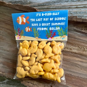 Summer Gift, Goldfish Treat Bag, End of School Gift, Classroom Favors ...
