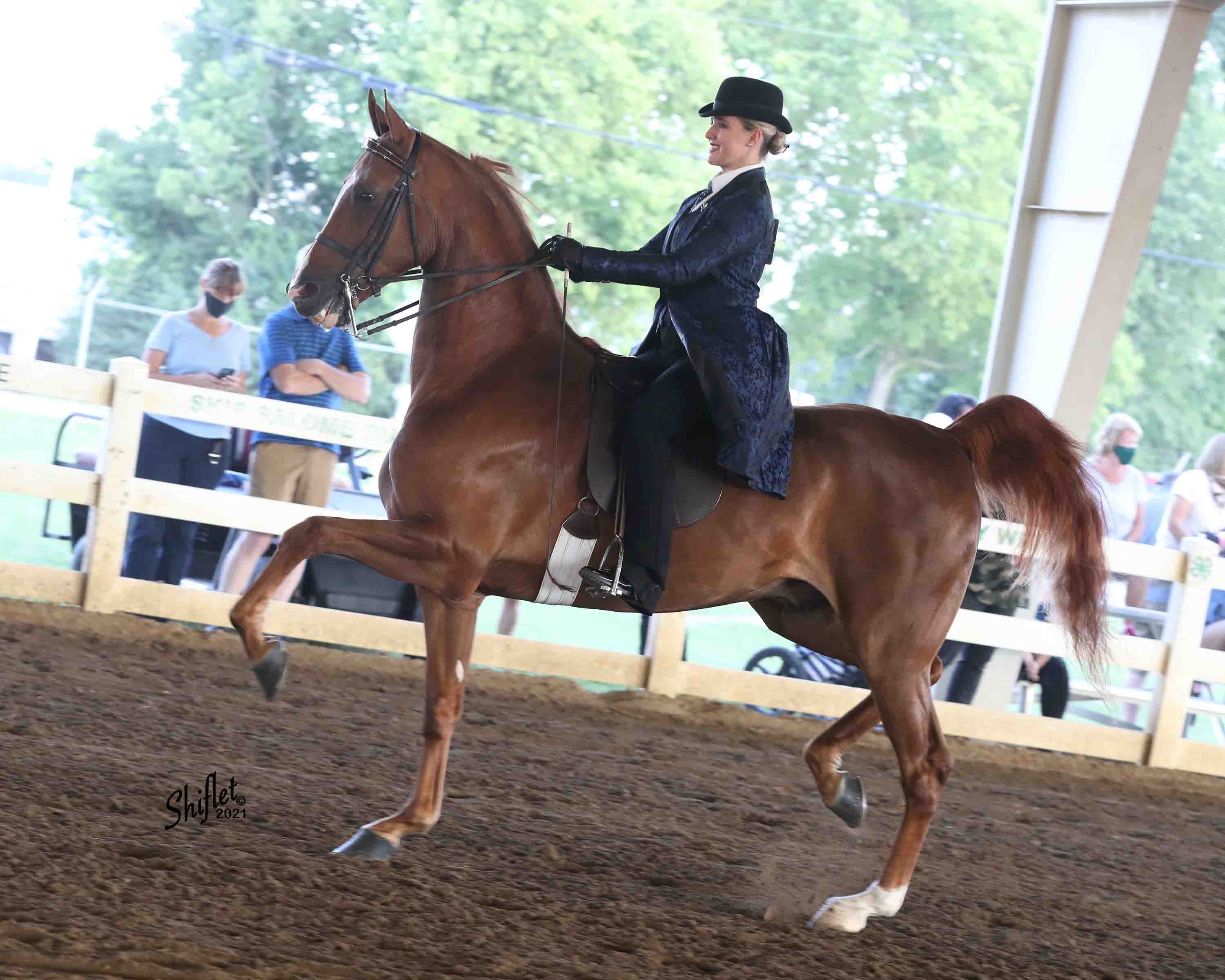 Custom Horse Drawing - Etsy