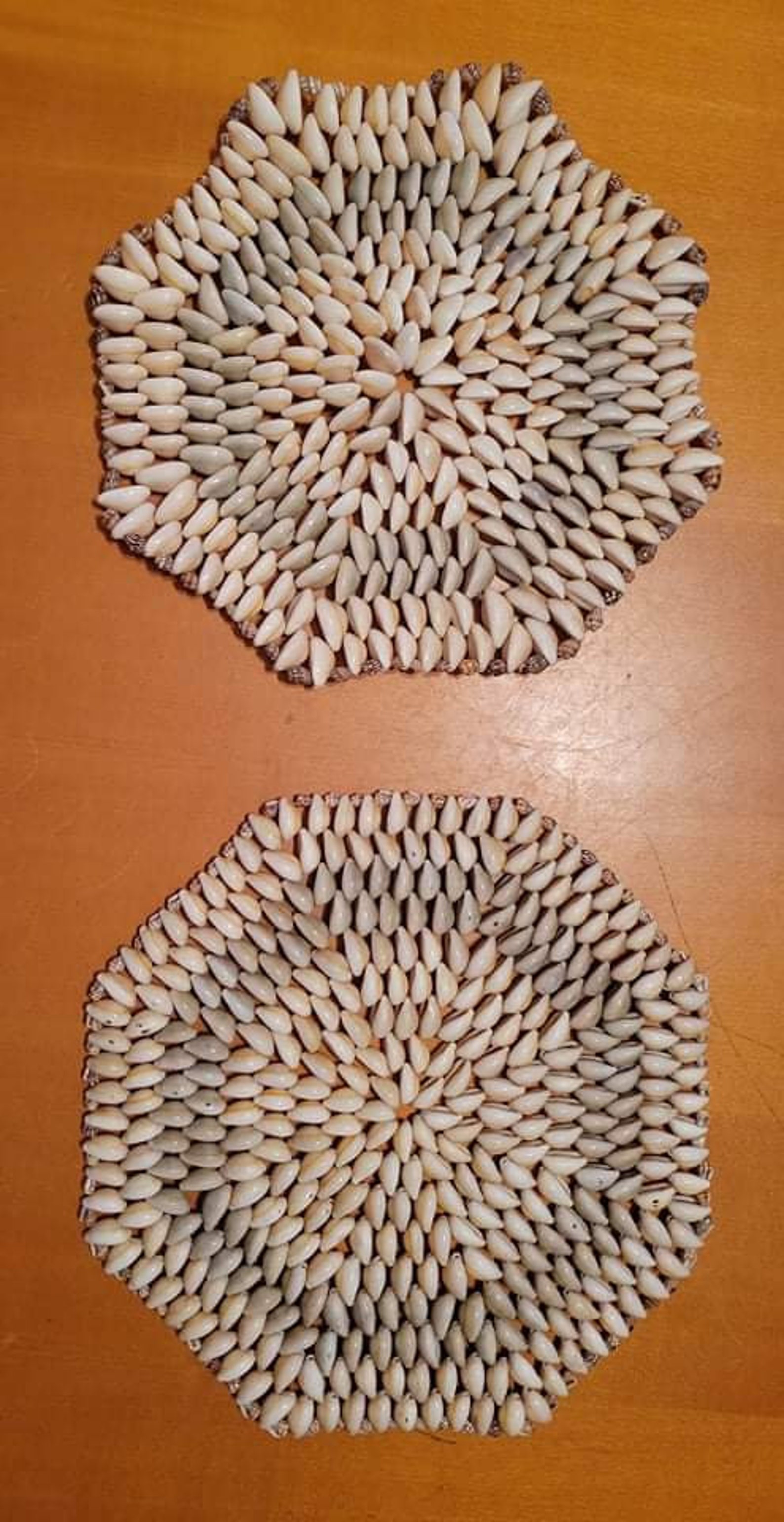 Pair of Trivets Made of Beautiful Shells - Etsy
