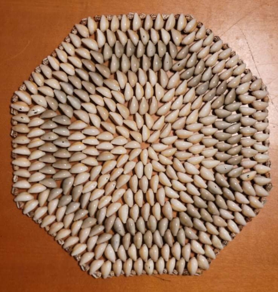 Pair of Trivets Made of Beautiful Shells - Etsy
