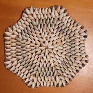 Pair of Trivets Made of Beautiful Shells - Etsy
